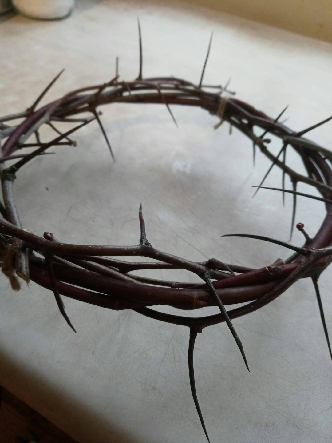 Natural Crown of Thorns Sharp Wreath Crataegus Thorn Wreath for Easter ...