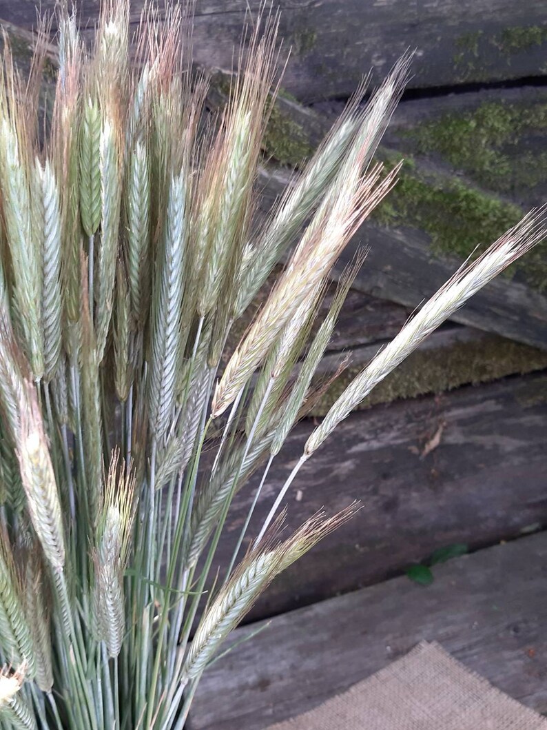 Natural wheat rye stalks dried flower bouquet wedding bouquet | Etsy