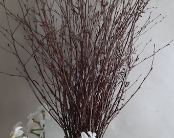 White Birch Branches | Etsy