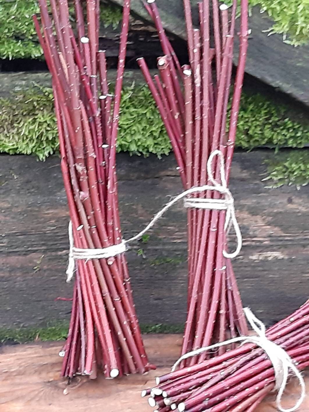 Real Red Dogwood Wands Real Willow Sticks Twigs Wooden Twigs Craft ...