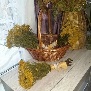 Dried Tansy Dried Yellow Tansy Herbs Bunch Dried Flower Bouquet Dry ...