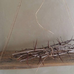 12 Natural Sharp Hawthorn Branches Thorns Christian Symbol of Thorns ...