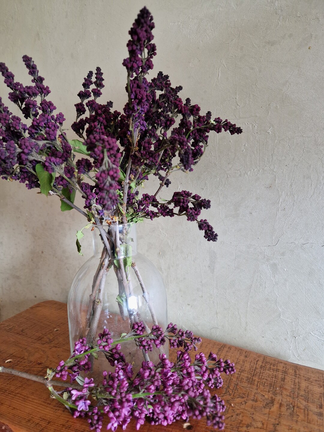Dried Natural Lilac Flowers Bouquets Dried Lilac Flowers Bouquet Bride ...