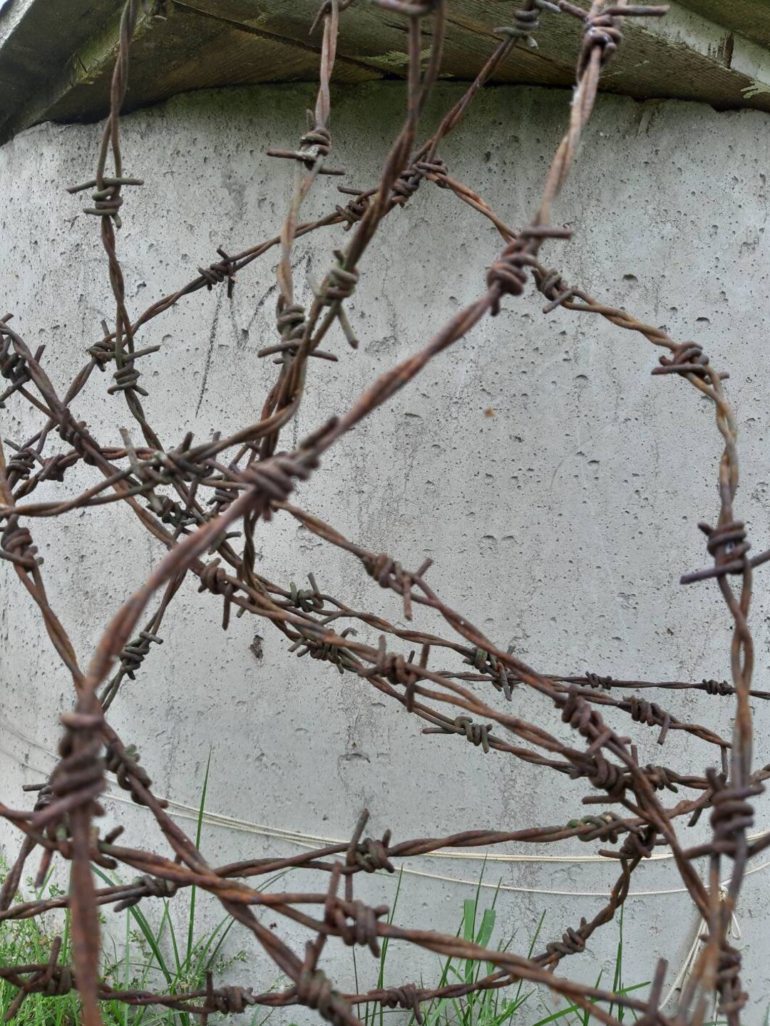 Rusty Barbed Wire Vintage Industrial Farmhouse Decor Steampunk Salvage ...