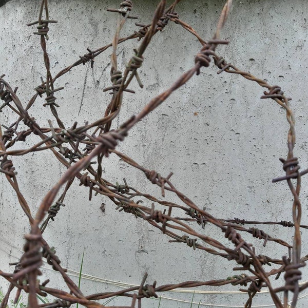 Rusty Barbed Wire - Etsy