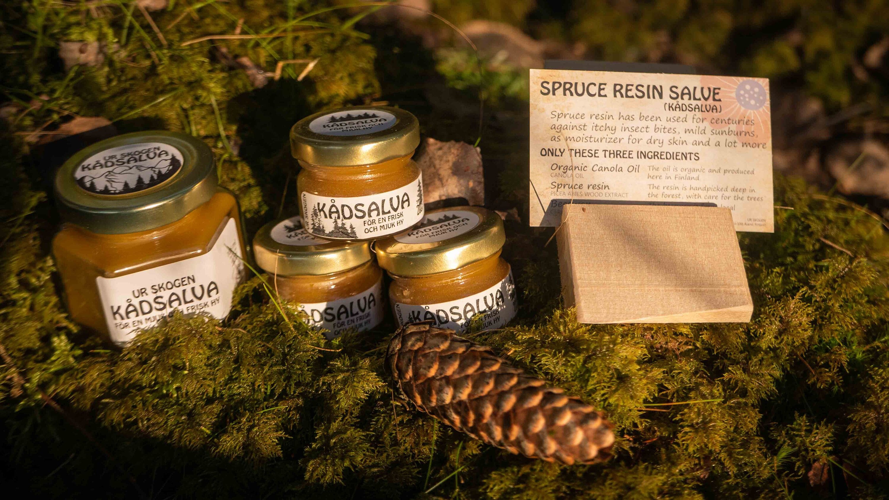 Spruce Resin Salve - for Sore Skin - Etsy