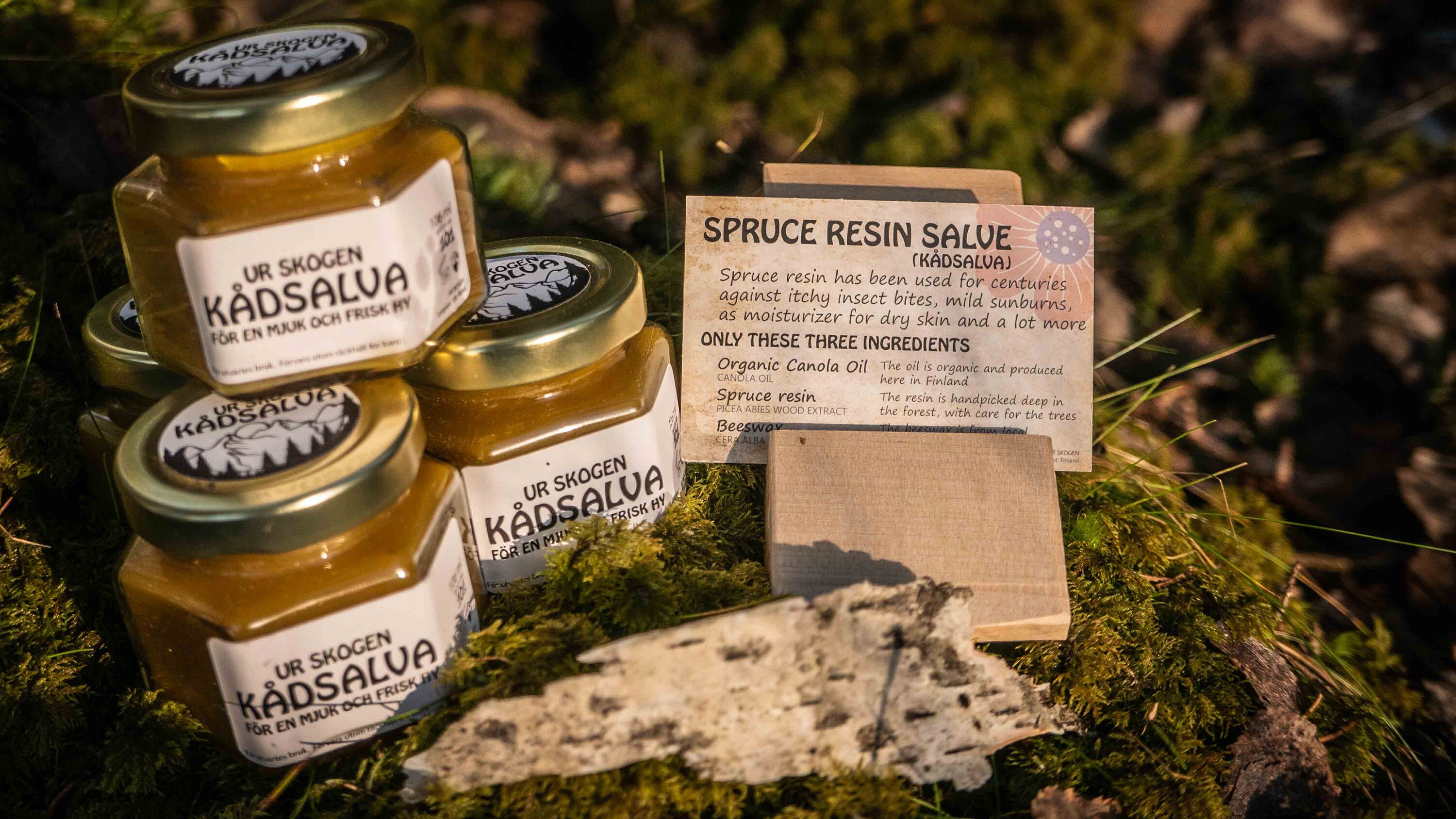 Spruce Resin Salve - for Sore Skin - Etsy