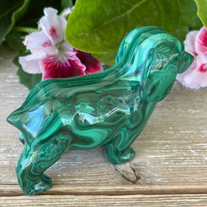 Malachite Dog(10 Oz) - Malachite Animal Carving - Healing Crystals and ...