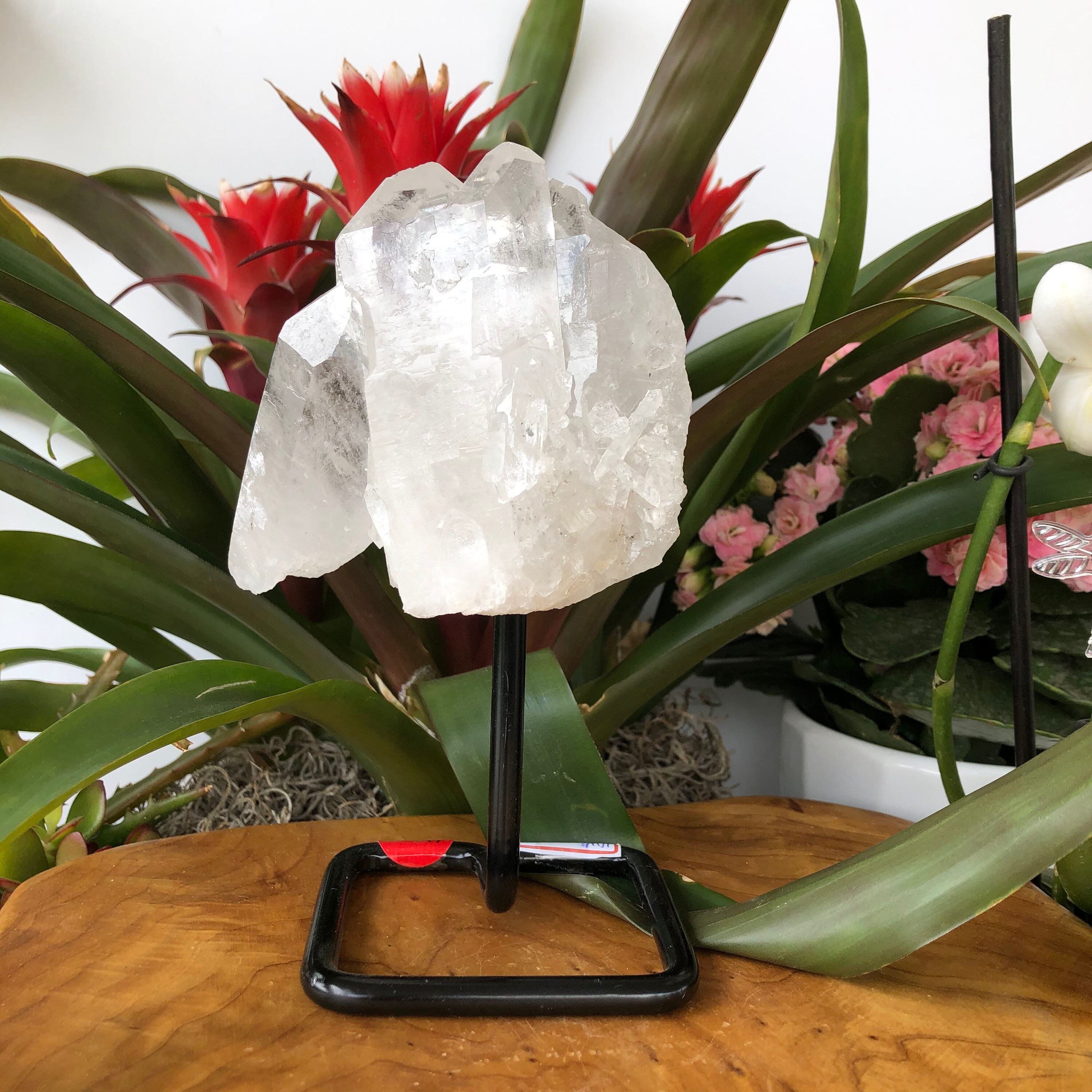 Crystal Quartz On Metal Stand 1 lb 6.8 oz Clear Quartz On | Etsy