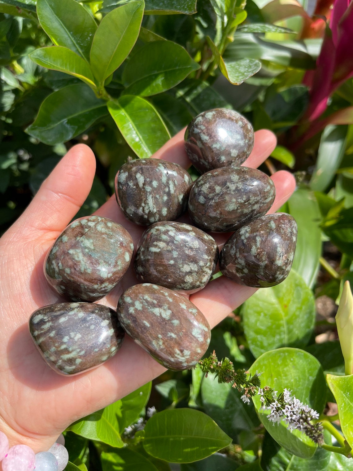 Nundoorite Tumbled Stone: Rare Healing Crystal - Etsy