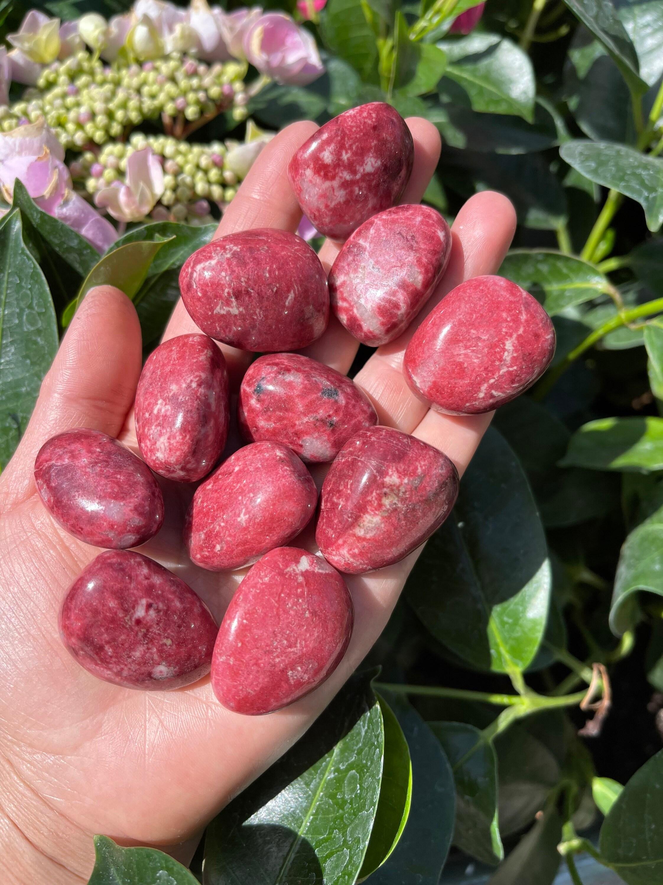 Thulite Tumbled Stone 0.8 1 Healing Crystals - Etsy