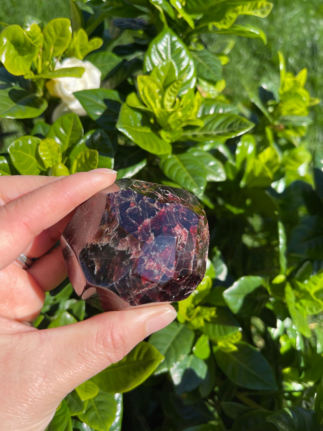 Faceted Garnet Large Garnet January Birthstone Healing Crystals and ...