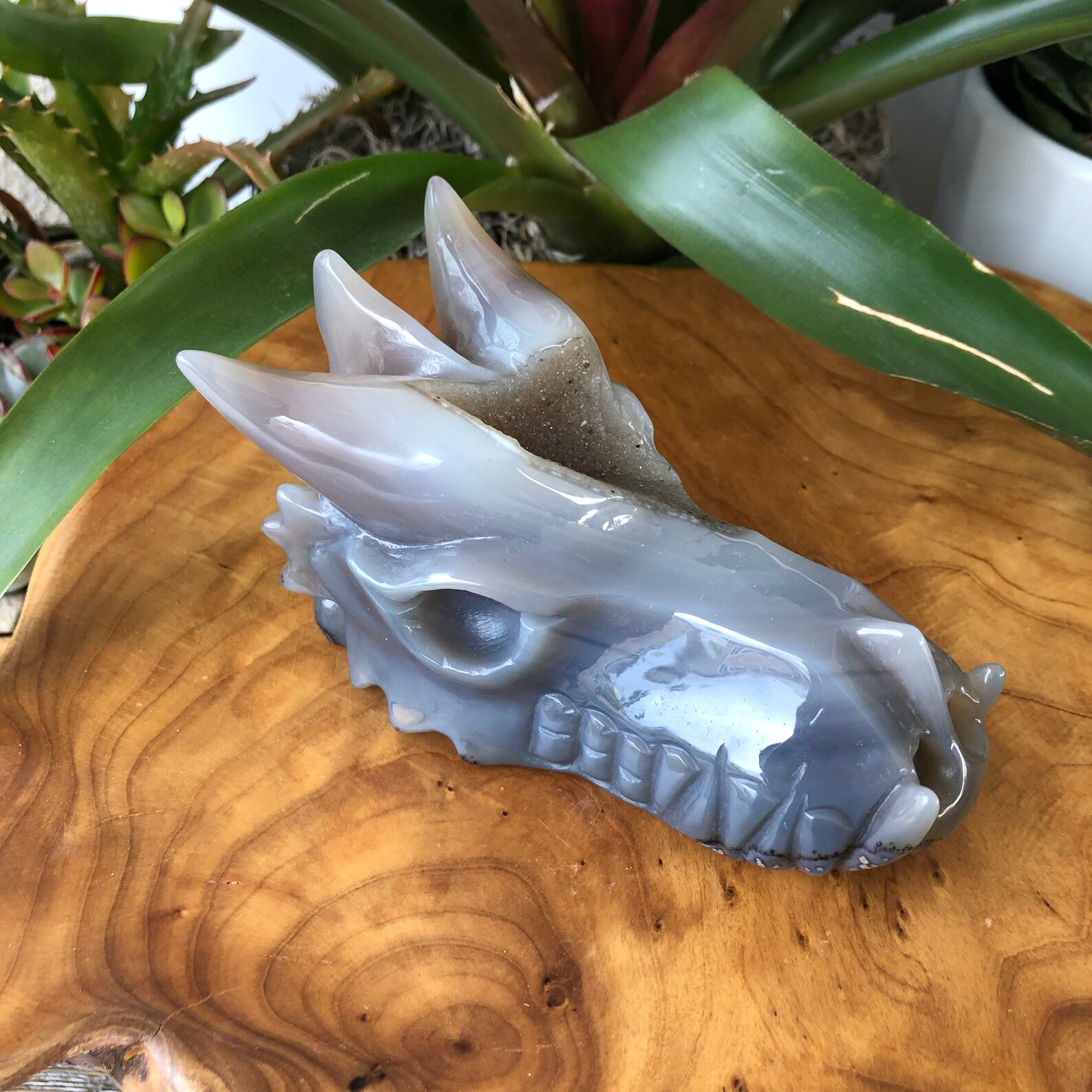 Agate Geode Dragon 16.3 Oz Dragon Head Agate Dragon - Etsy