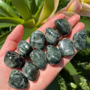 Seraphinite Tumbled Stones - Tumbled Seraphinite - Rare Stones - Healing Crystals and Stones - Etsy