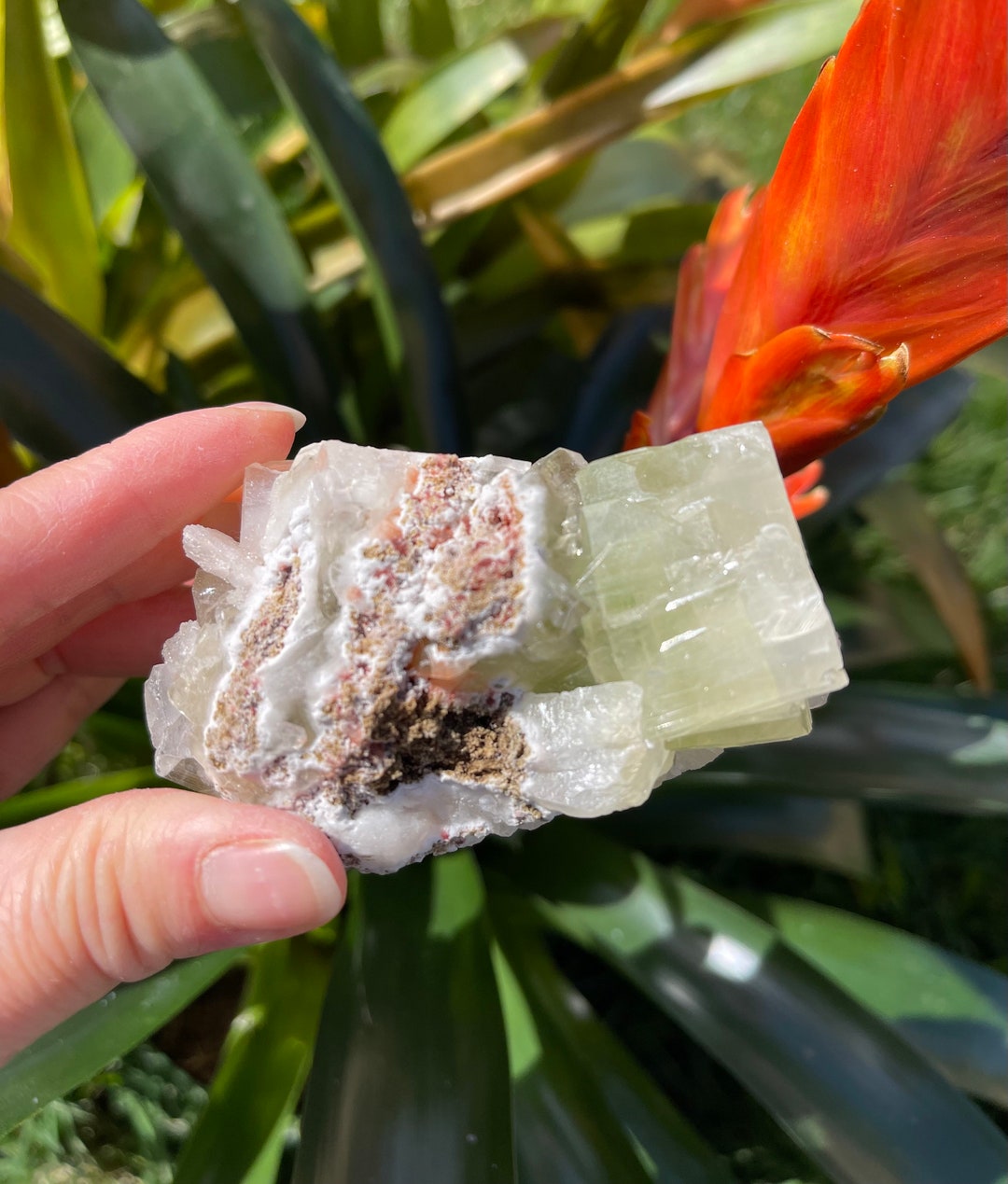 Green Stilbite Apophylite Stilbite Cluster Healing - Etsy