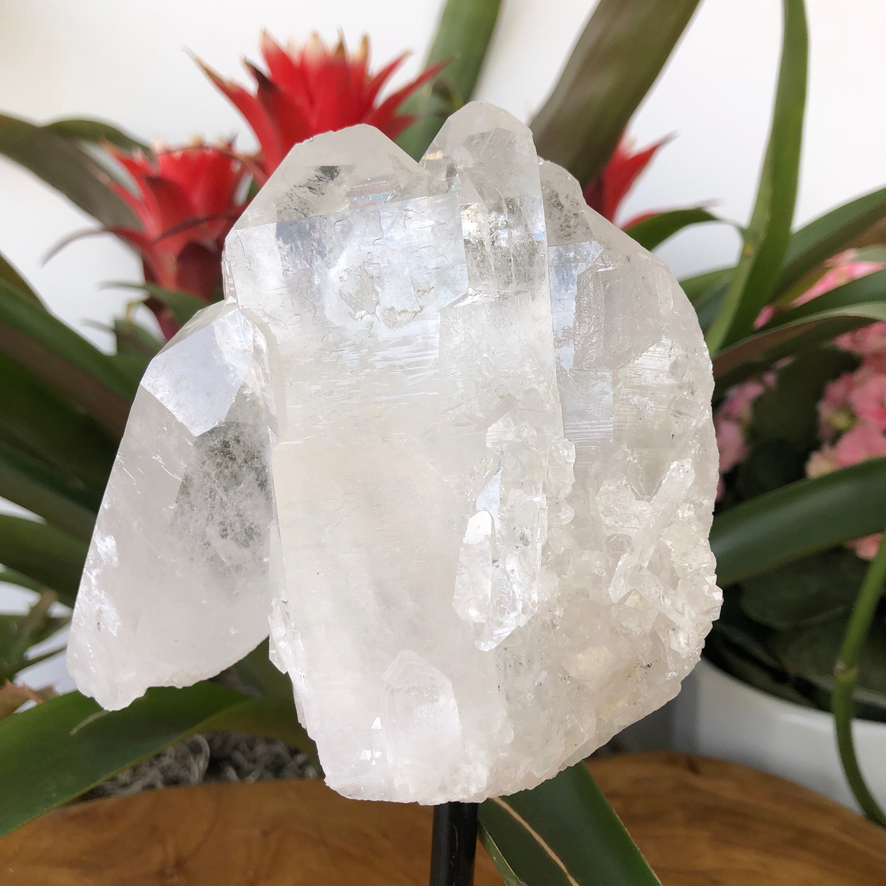 Crystal Quartz On Metal Stand 1 lb 6.8 oz Clear Quartz On | Etsy