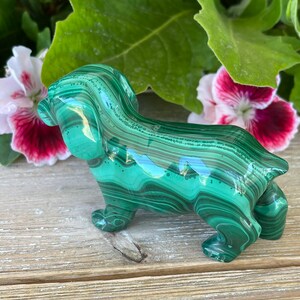 Malachite Dog(10 Oz) - Malachite Animal Carving - Healing Crystals and ...