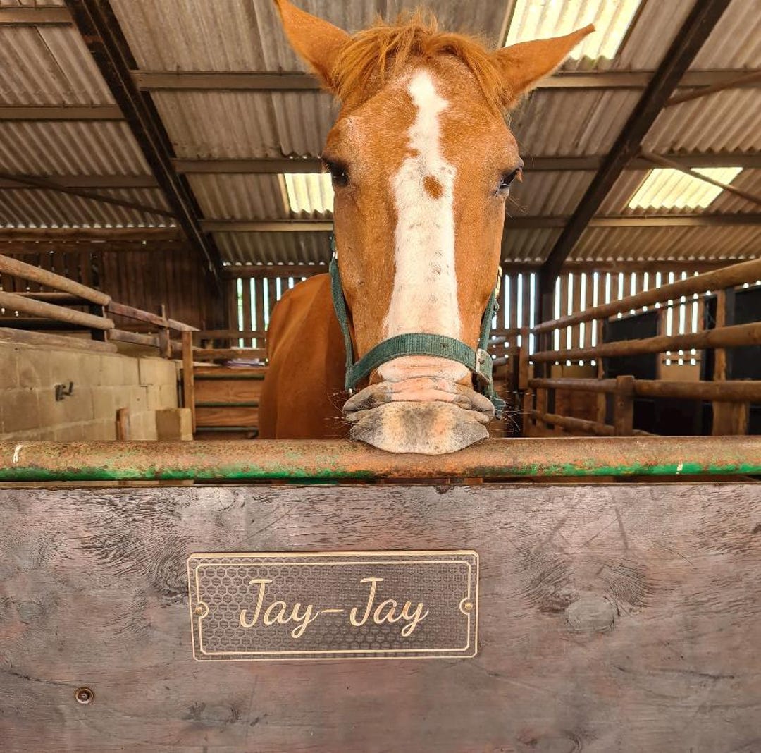 Personalised Horse Name Plaque, Custom Stable Door Sign - Etsy UK