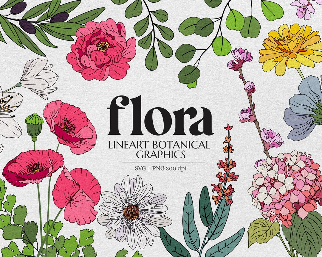 Botanical Line Art Clipart Set – Hand-drawn Floral SVG PNG for Crafts ...