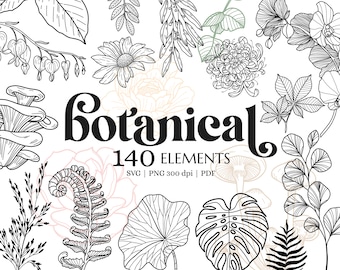 Hand Drawn Flowers Set Png-flowers Vector-floral Ornament Svg-botanical ...