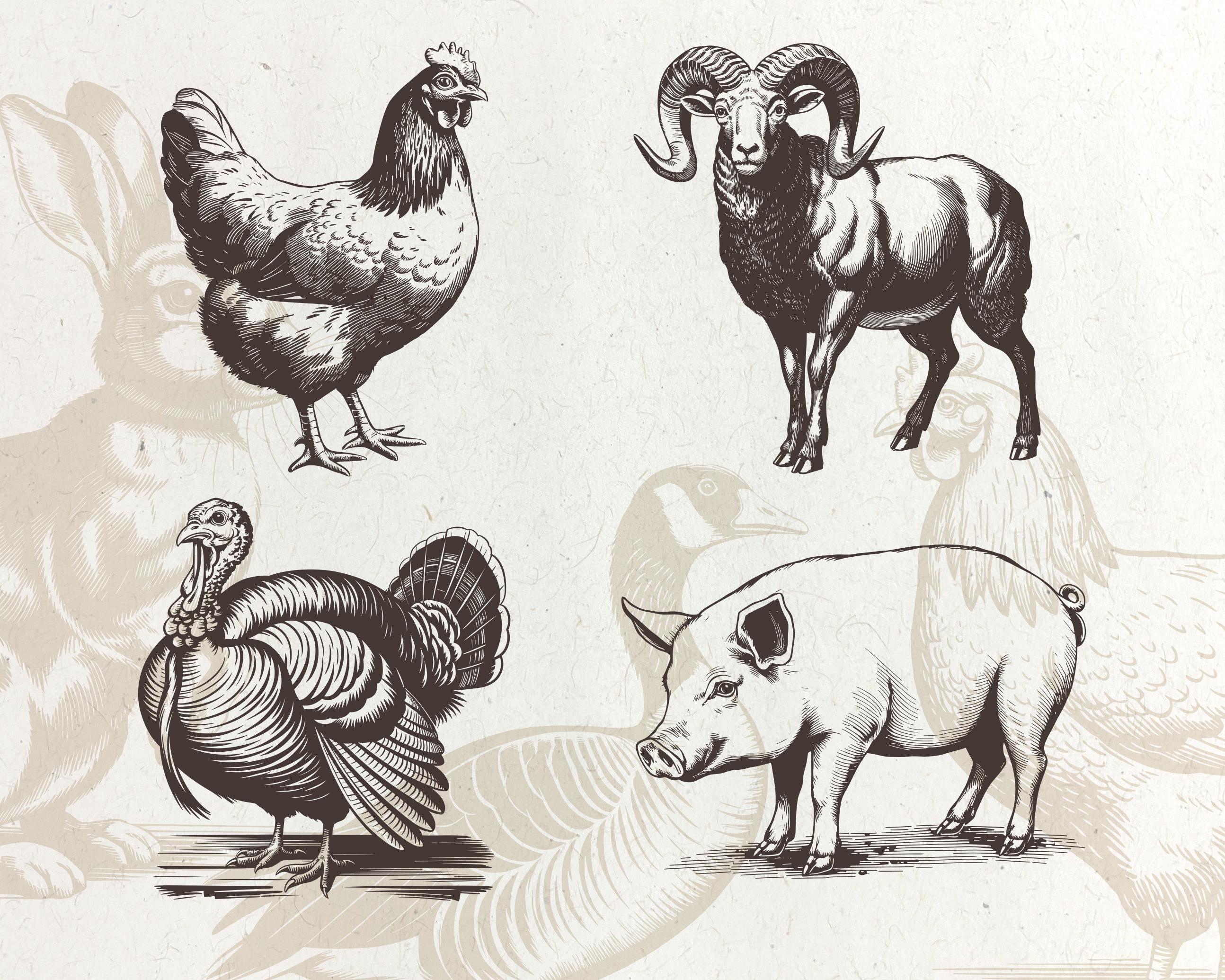 Vintage Farm Animal Clipart Set – Rustic Etching SVG PNG for Crafts and ...