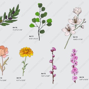 Botanical Line Art Clipart Set – Hand-drawn Floral SVG PNG for Crafts ...