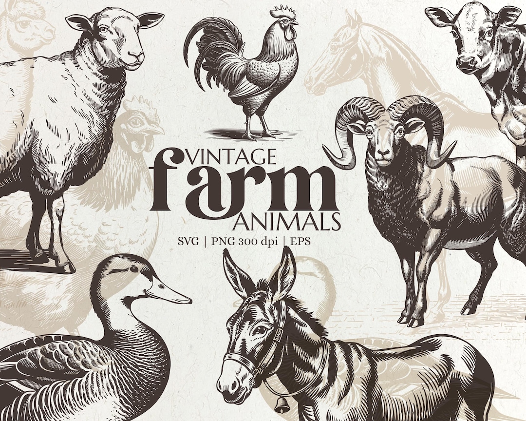 Vintage Farm Animal Clipart Set - SVG PNG Files for Cricut, Sublimation, DIY Projects, Rustic ...