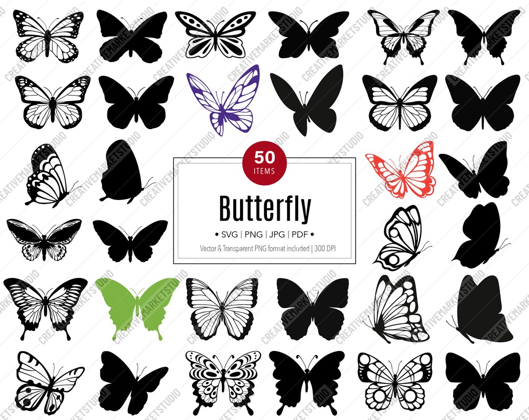 Butterfly SVG Bundle Pngs, Clipart, and Cut Files for Cricut and ...
