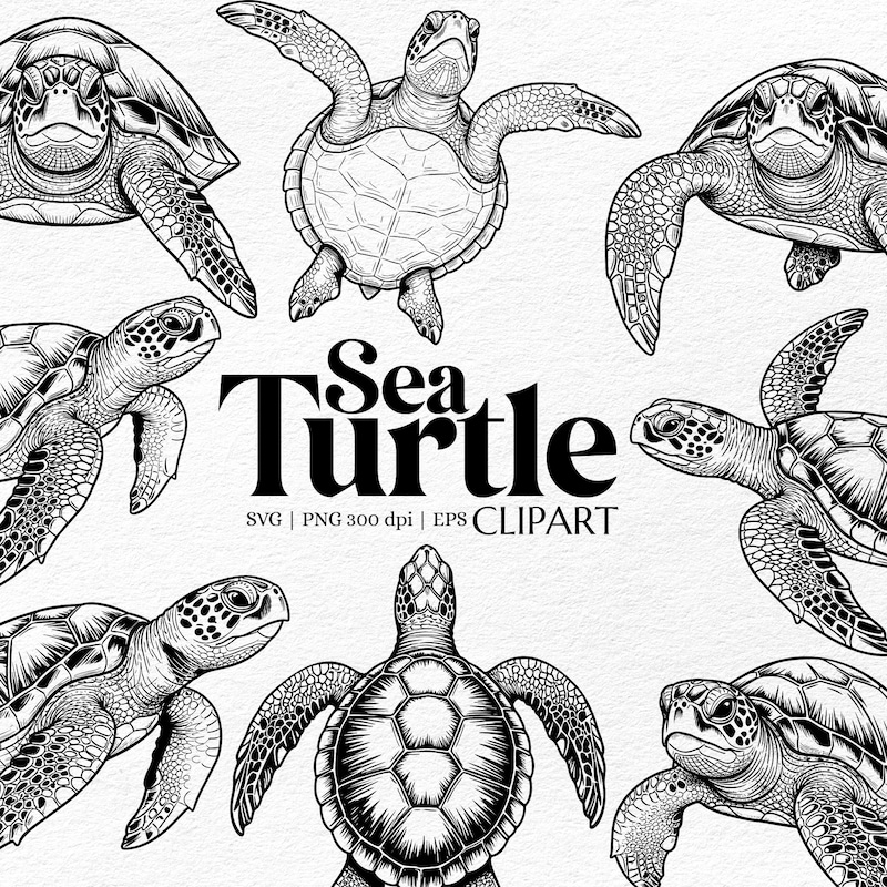 Sea Turtle Black Svg - Etsy