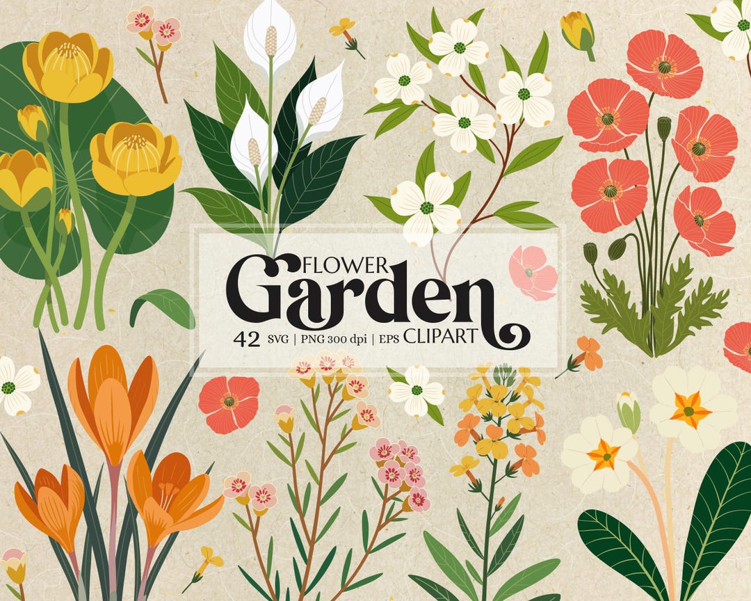 Garden Flower Clipart Bundle – Hand-drawn Floral SVG PNG for ...