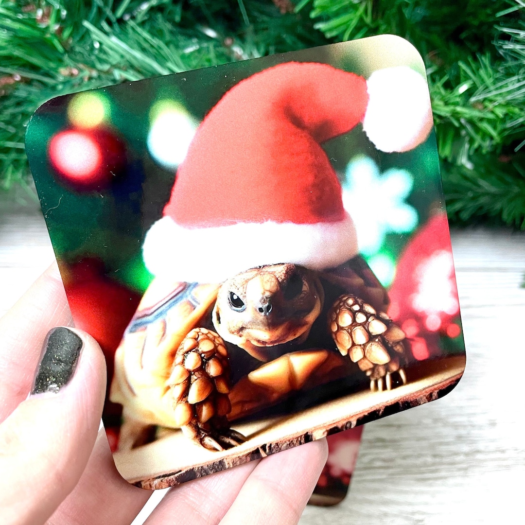 Tortoise Christmas Coaster Tortoise Gifts Tortoise Table - Etsy