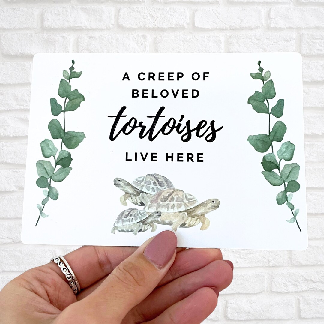 Tortoise Sign, Tortoise Mum Gift, Tortoise Dad Gift, Tortoise Mothers ...