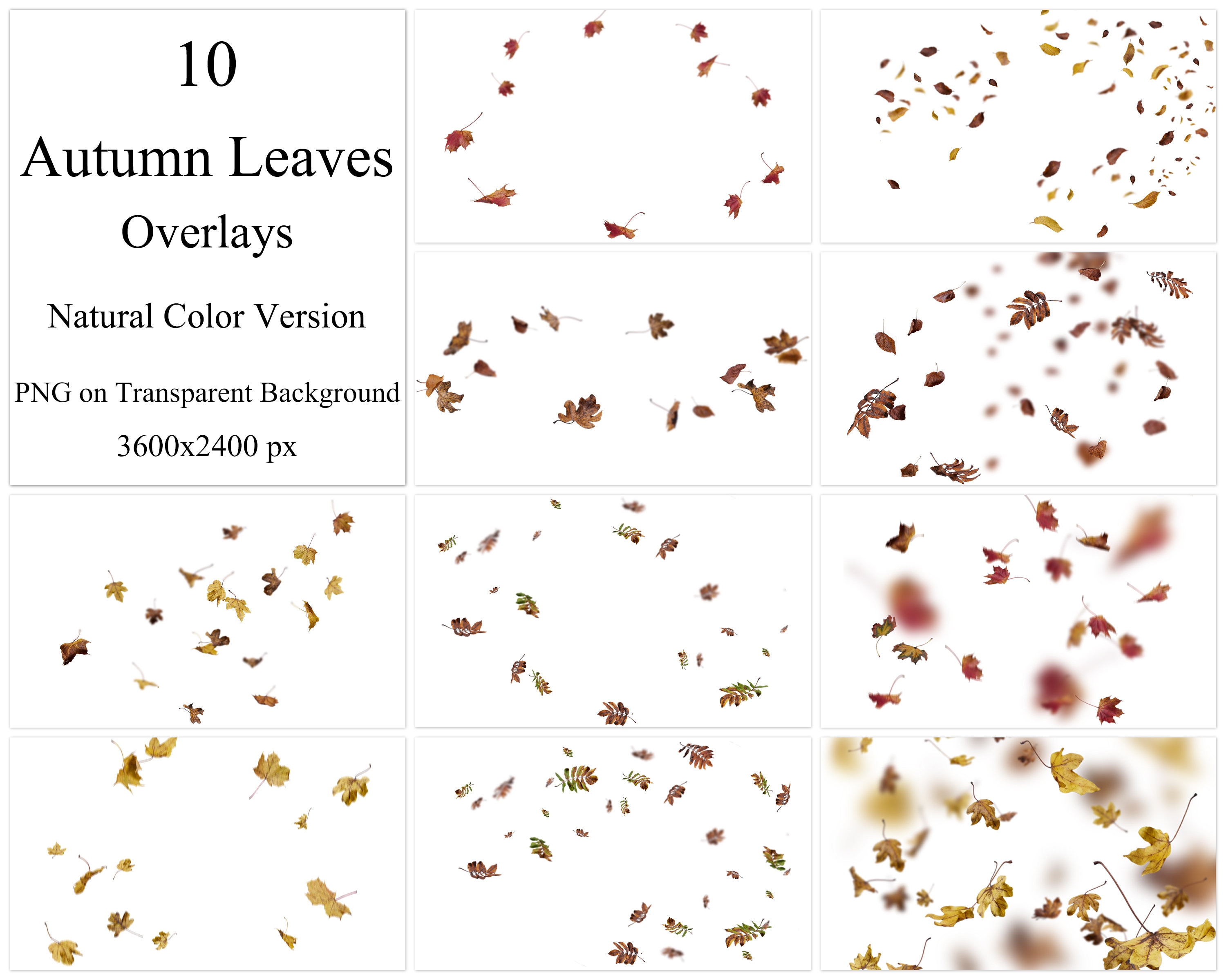 Autumn Leaves Overlays Photoshop Overlays Fall PS Overlay - Etsy