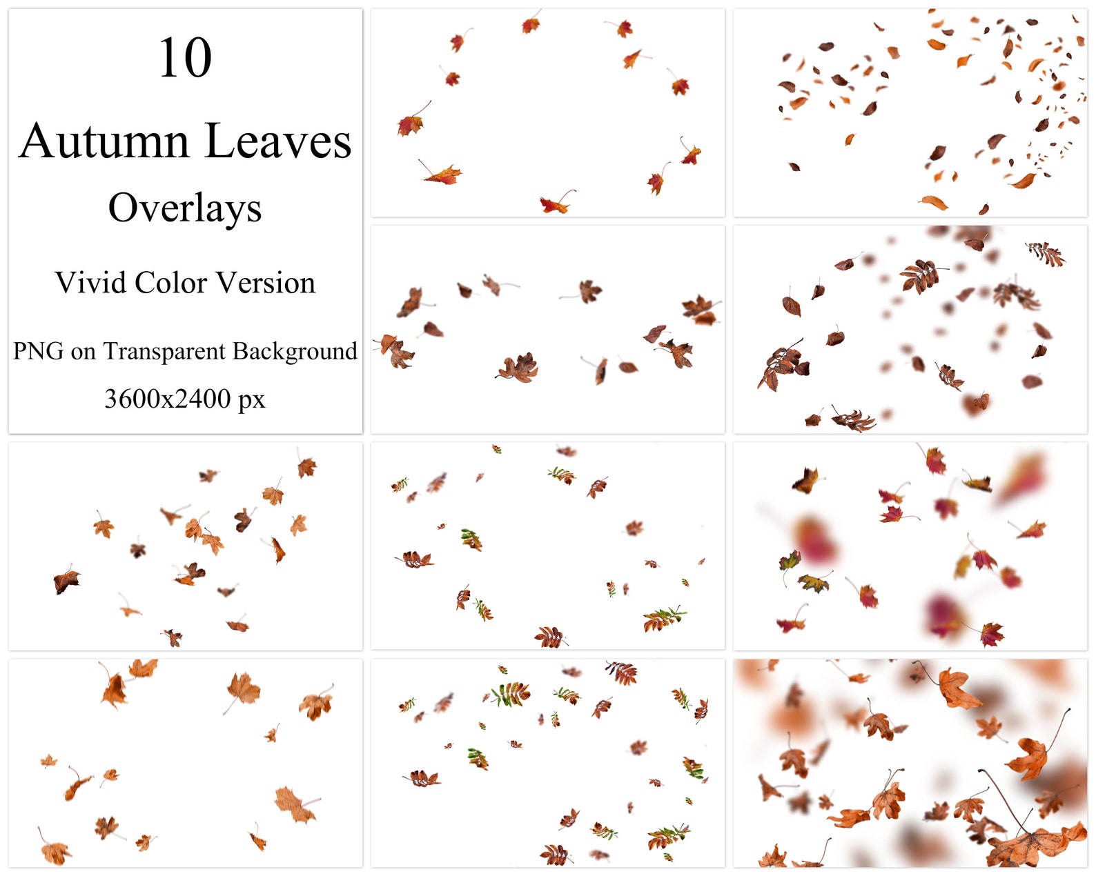 Autumn Leaves Overlays Photoshop Overlays Fall PS Overlay Autumn ...