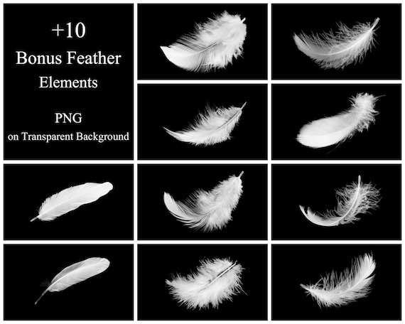 Angel Feathers Png