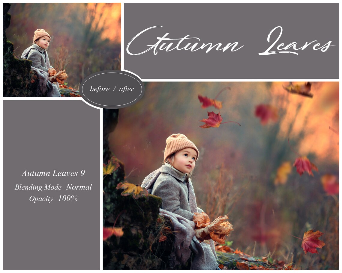 Autumn Leaves Overlays Photoshop Overlays Fall PS Overlay | Etsy
