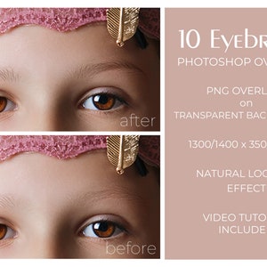 Eyebrow Overlays - PNG on Transparent Background - Portrait Retouch ...