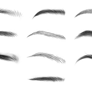 Eyebrow Overlays - PNG on Transparent Background - Portrait Retouch ...