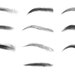 Eyebrow Overlays - PNG on Transparent Background - Portrait Retouch ...