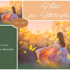 Butterfly Overlays Photoshop Overlays Colorful Butterflies | Etsy
