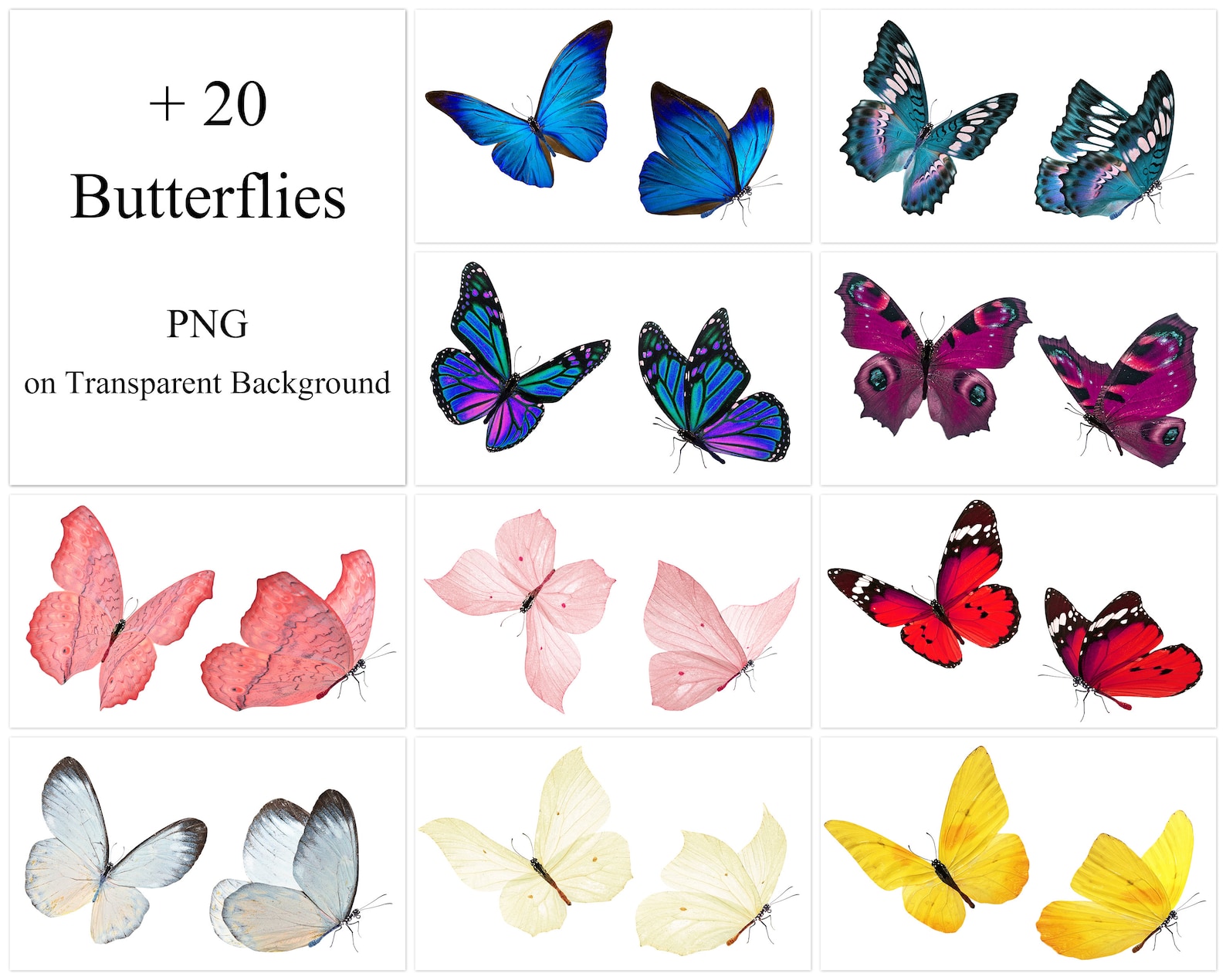 Butterfly Overlays Photoshop Overlays Kleurrijke vlinders - Etsy Nederland
