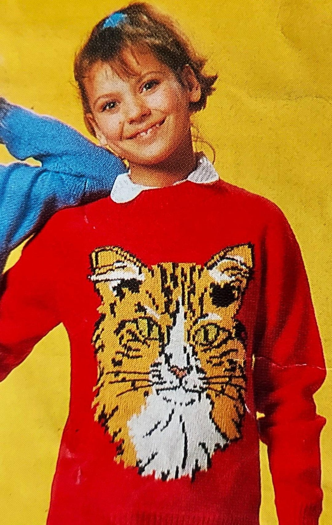 Vintage Cat Sweater Knitting Pattern, Ladies Jumper Cardigan (PDF) - Etsy
