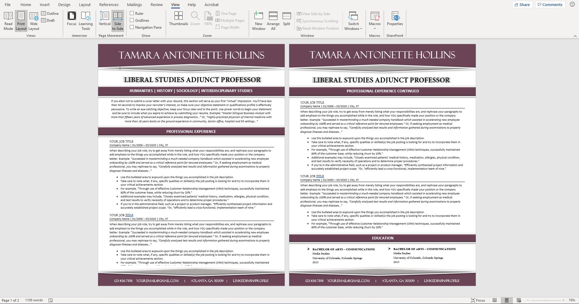 WTC Career Edition Resume Template | Microsoft Word | 2 & 3 Pages ...