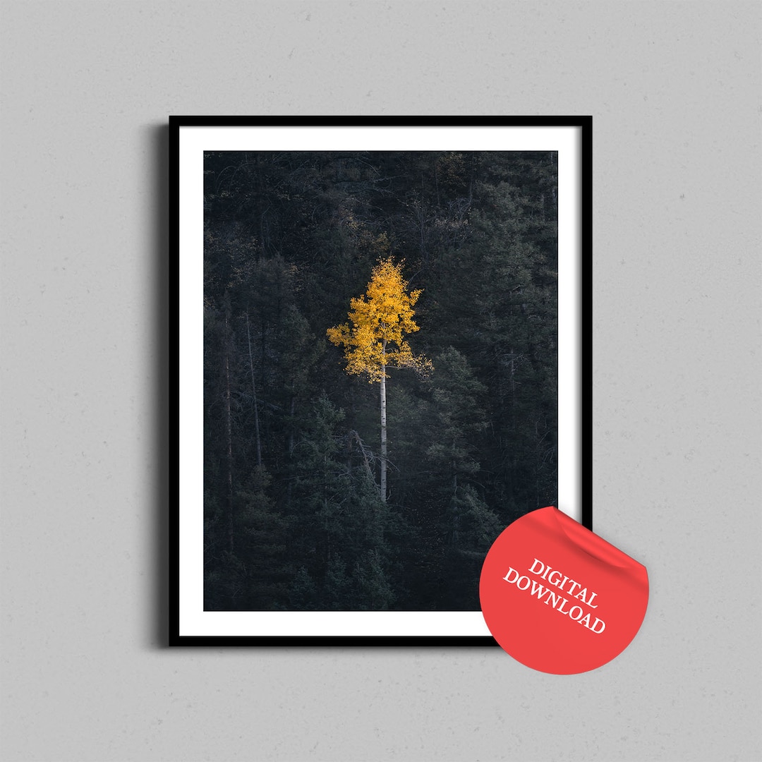 Aspen Tree Digital Download, Autumn Wall Art Instant Printable Poster ...