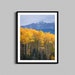 Aspen Tree Art, Fall Photography Framed Photo, Autumn Photograph ...