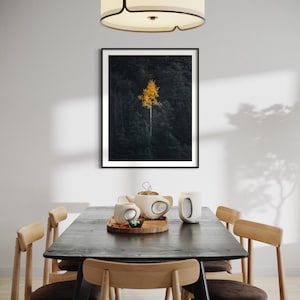 Aspen Tree Art, Fall Photography Framed Photo, Autumn Photograph ...