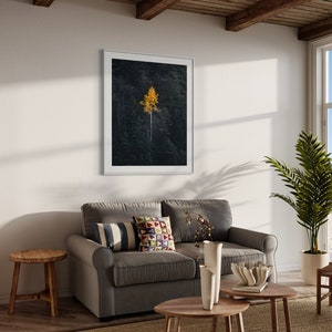 Aspen Tree Art, Fall Photography Framed Photo, Autumn Photograph ...