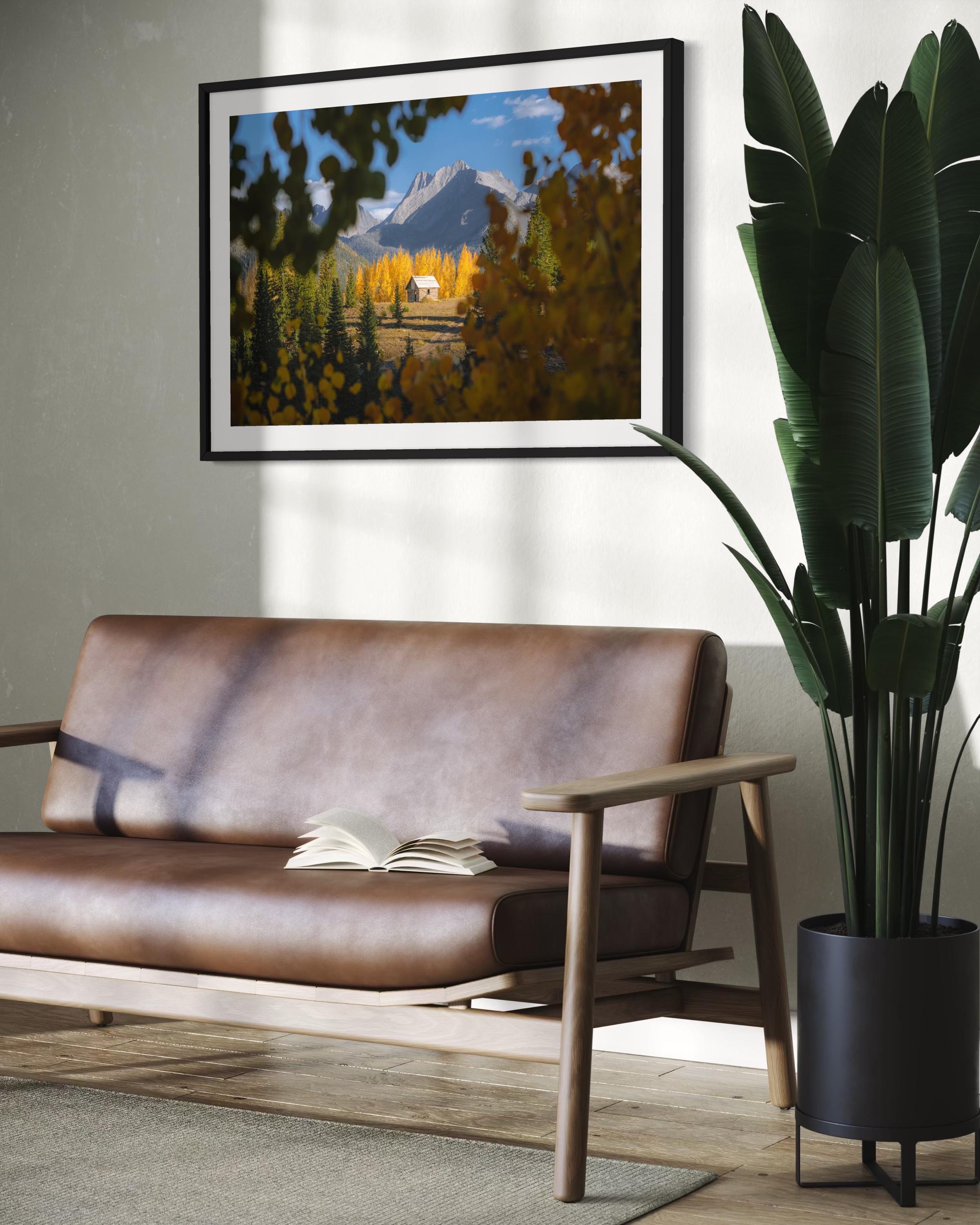 Colorado Autumn Print, Cozy Cabin Wall Art, Aspen Trees, Rocky ...