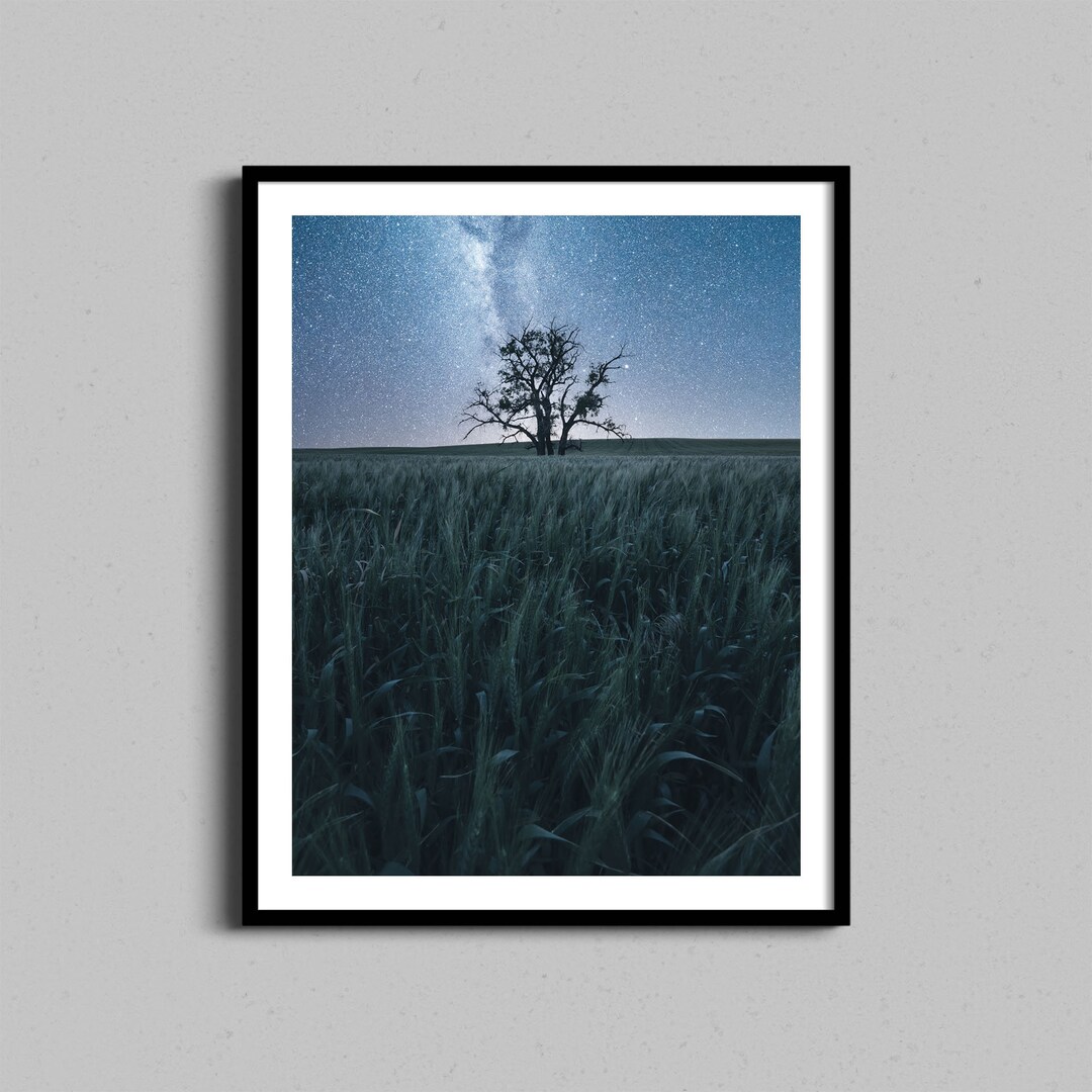 Minimal Wall Art | Solo Tree Fine Art Photography Print | Night Stars ...