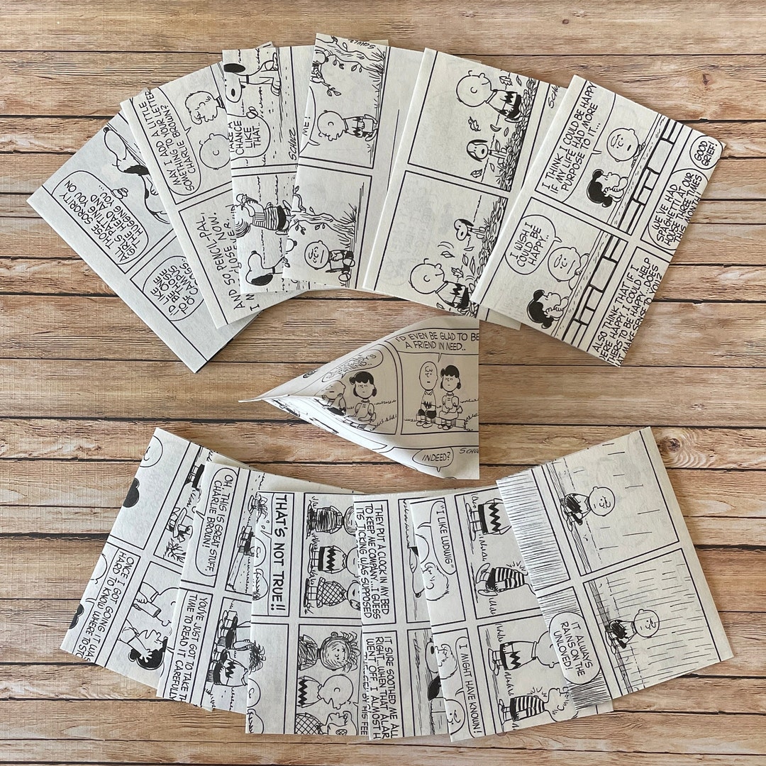 Storybook Peanuts Gang Comic Strip Party Favor Boxes | Set of 12 ...